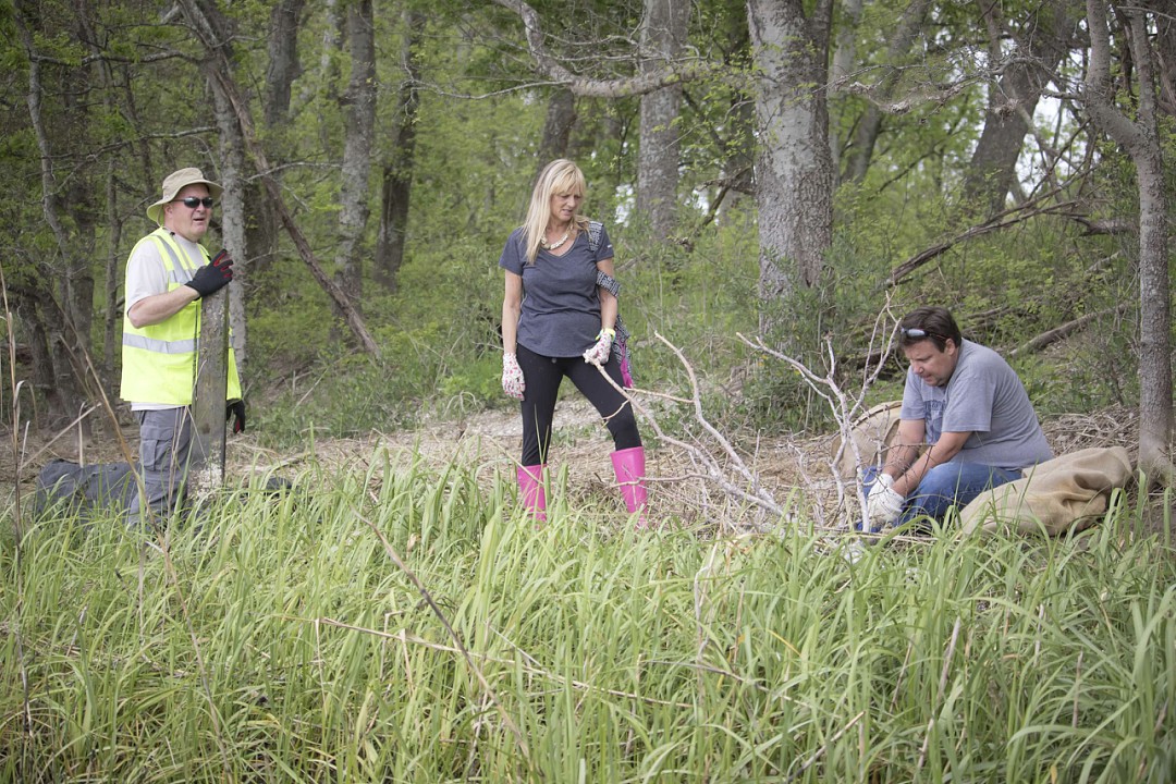 as434 | Wounded Nature-Working Veterans